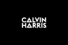 Calvin Harris – Custom Art | Curtis David Portfolio